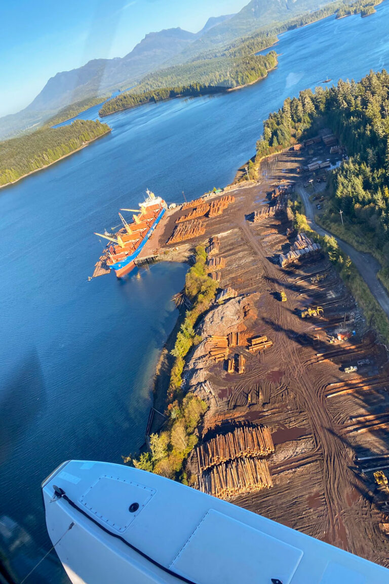 Alaska Forest Association