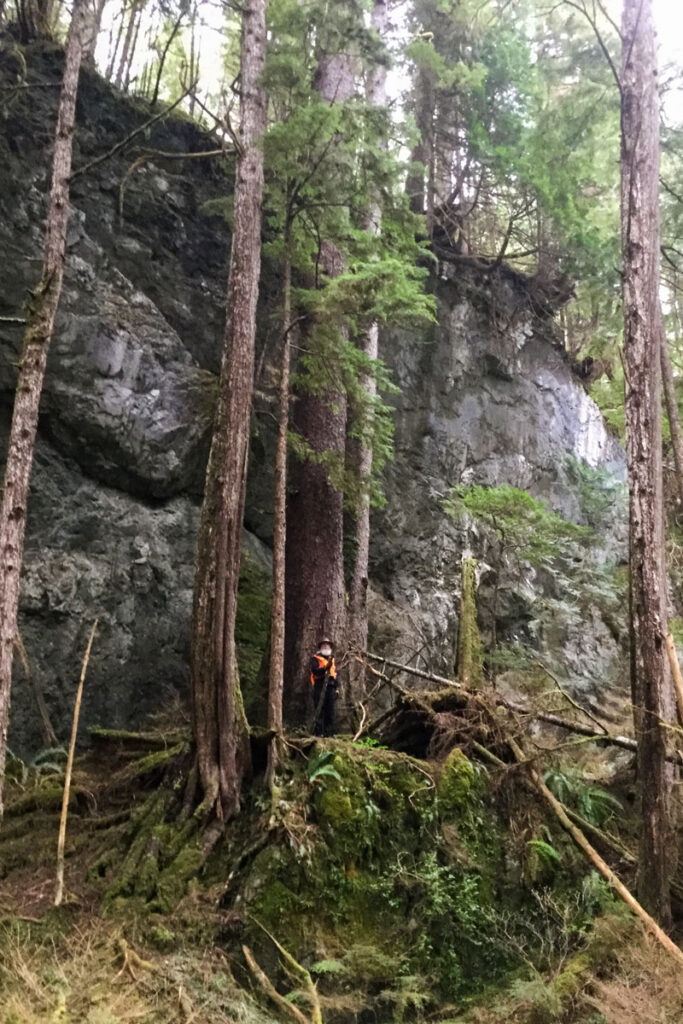 Resources - Alaska Forest Association